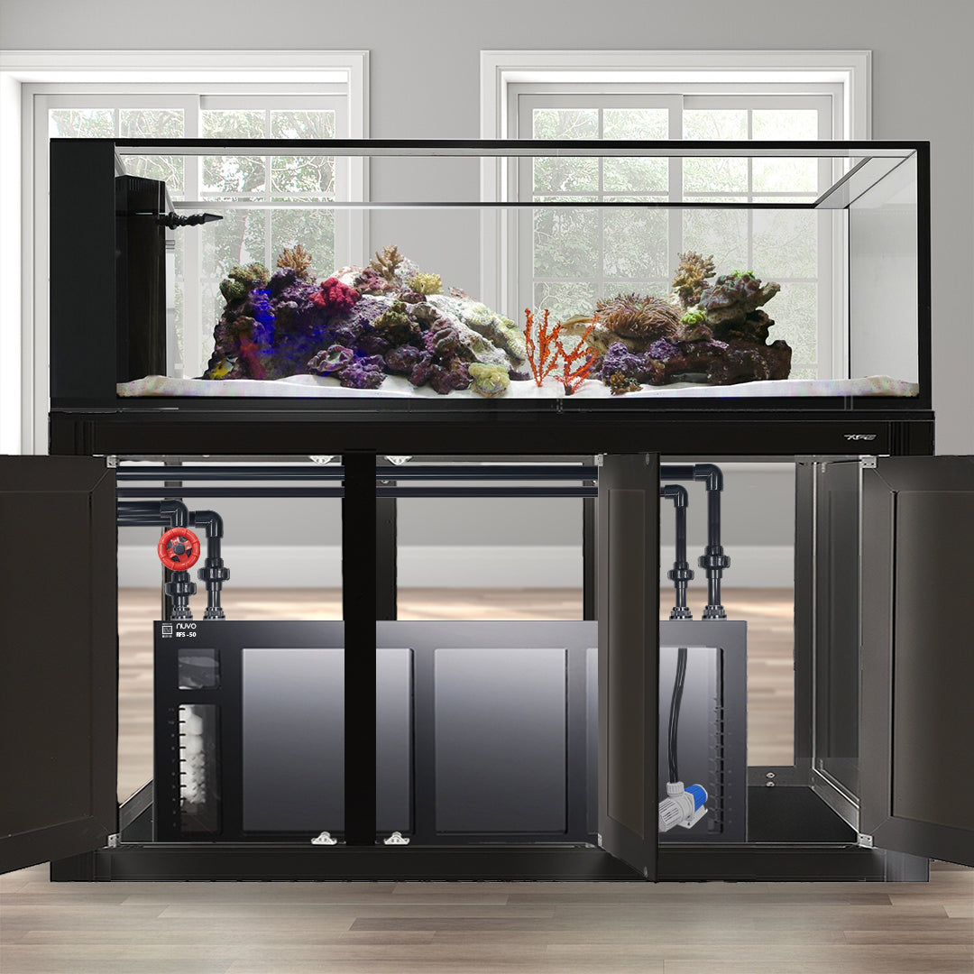 Innovative Marine INT 200 Gallon Peninsula Complete Reef System - Made ...